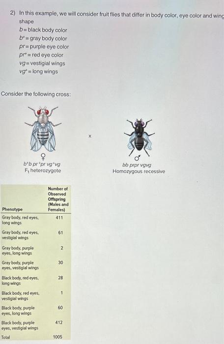 2) In this example, we will consider fruit flies that | Chegg.com