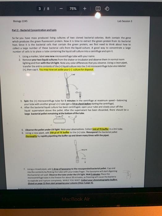 Solved Biology 2245 Lab Session 3 Title: GFP PROTEIN | Chegg.com