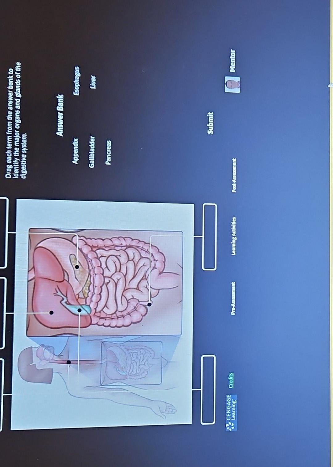 Solved wayshs enuse? Ip | Chegg.com