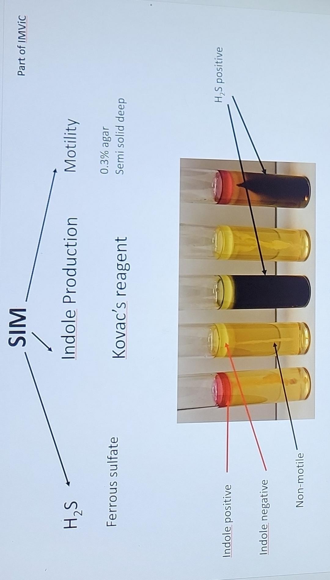 - Media is designed to be used for more than one | Chegg.com