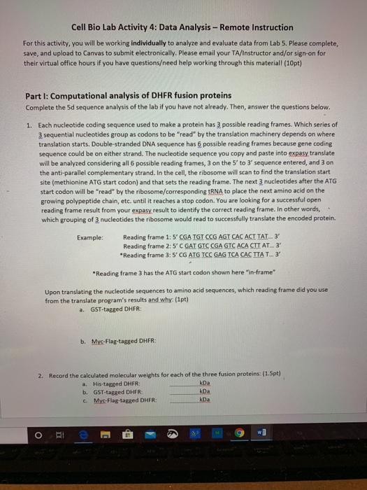 Cell Bio Lab Activity 4: Data Analysis - Remote In... | Chegg.com