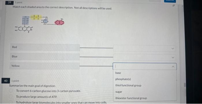 Solved 39. t point. Match each shaded area to the correct | Chegg.com