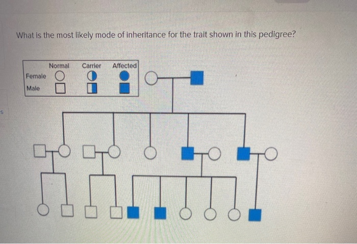 Solved What is the most likely mode of inheritance for the | Chegg.com