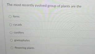 Solved The most recently evolved group of plants are | Chegg.com