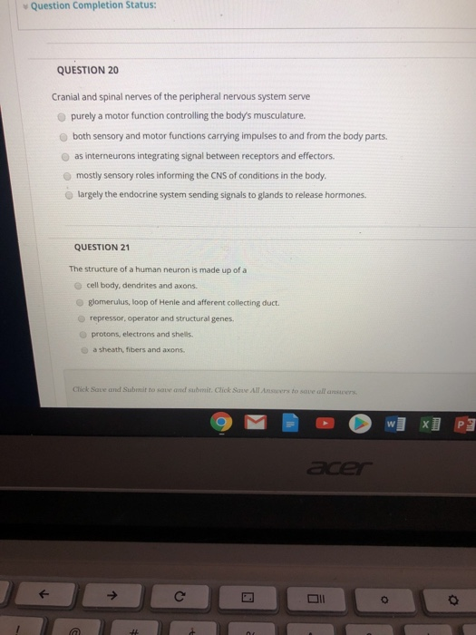 Solved Question Completion Status: QUESTION 20 Cranial and | Chegg.com