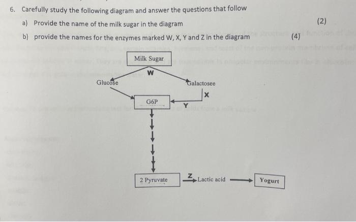 [Solved]: 6. Carefully study the following diagram and answe