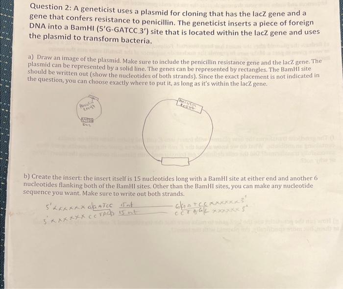 Solved Question 2: A geneticist uses a plasmid for cloning | Chegg.com