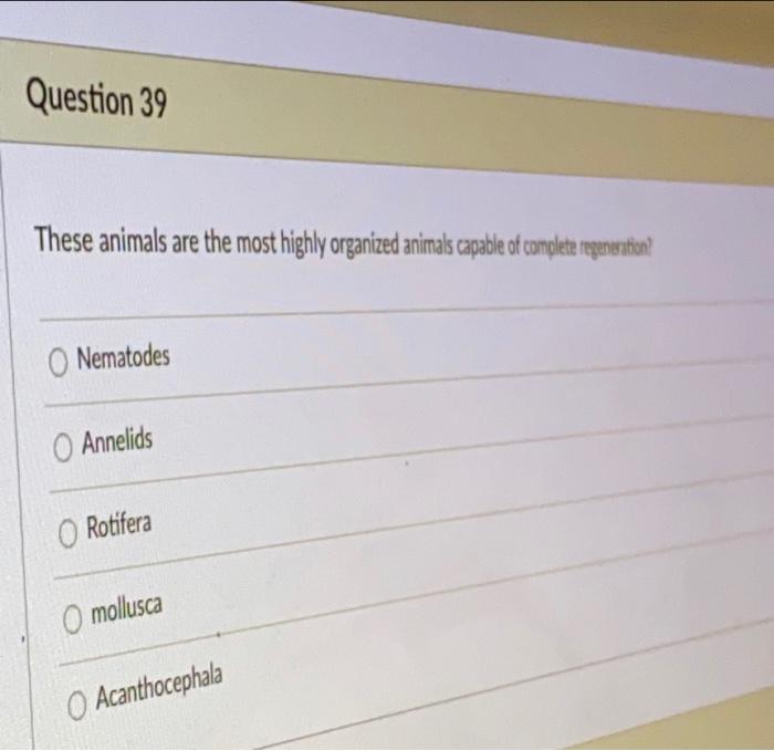 Solved Question 39 These animals are the most highly | Chegg.com