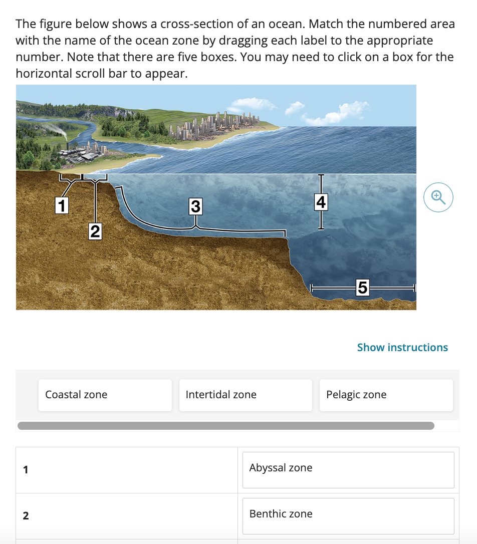 Solved The figure below shows a cross-section of an ocean. | Chegg.com