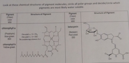 Solved Look at these chemical structures of pigment | Chegg.com