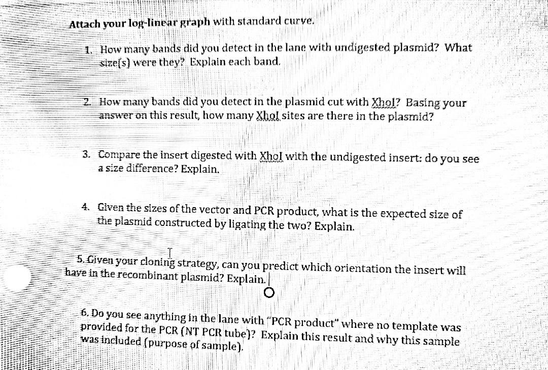 Solved Attach your log-linear graph with standard curve. 1. | Chegg.com