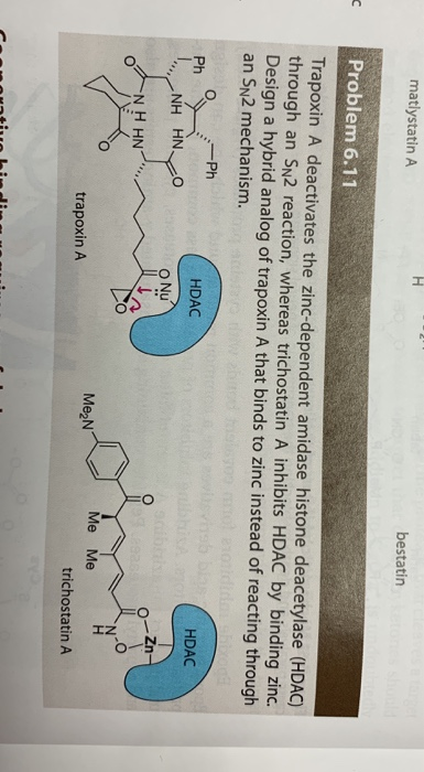 Solved matlystatin A bestatin Problem 6.11 Trapoxin A | Chegg.com