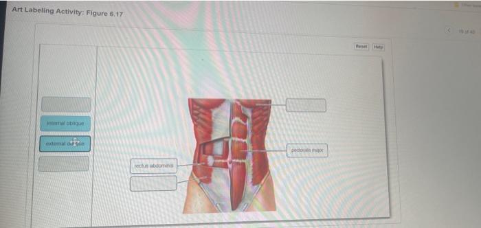 Solved Chapter 6 Matehing Quostion 15.25Art Labeling | Chegg.com