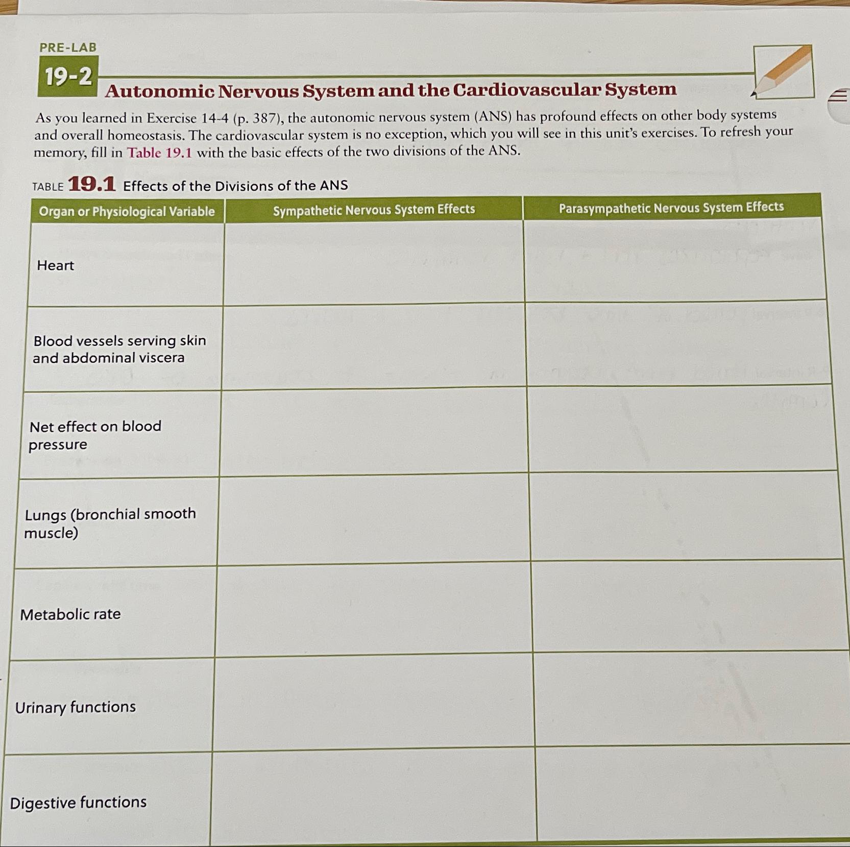 Solved PRE-LAB19-2Autonomic Nervous System and the | Chegg.com