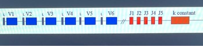 Enclosed is a pictare of the k light chain gene. Draw | Chegg.com