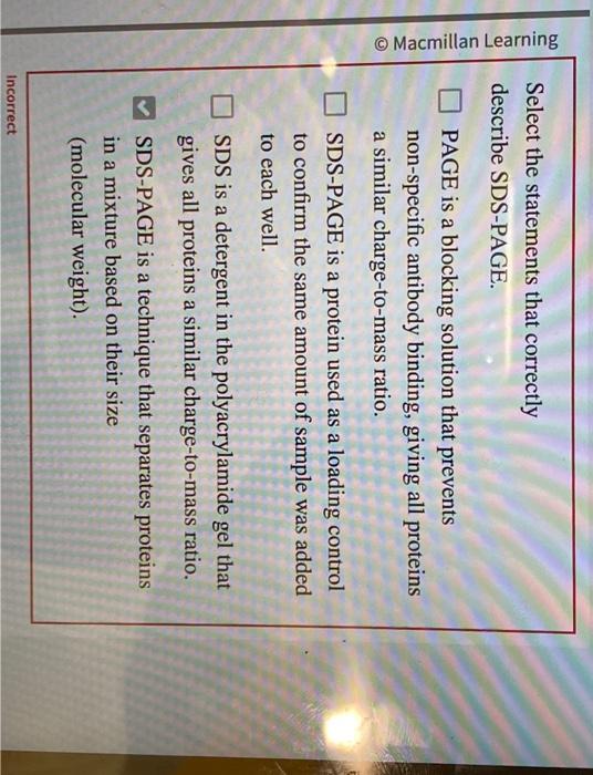 Solved Select the statements that correctly describe | Chegg.com