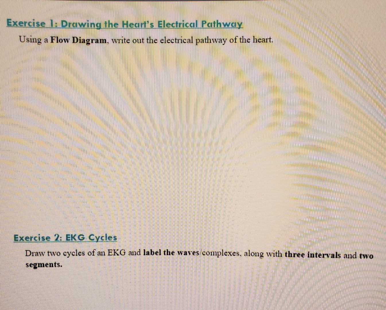 Solved Exercise 1: Drawing the Heart's Electrical | Chegg.com