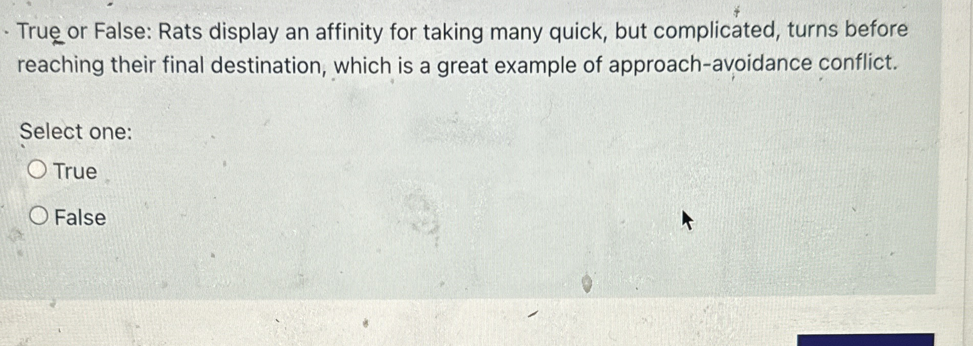 Solved True or False: Rats display an affinity for taking | Chegg.com