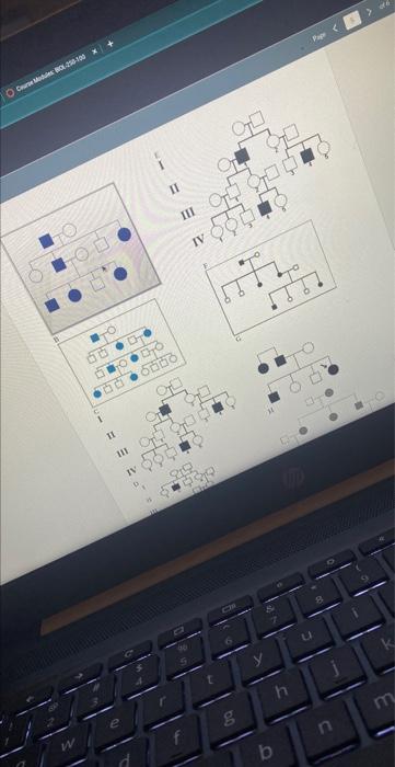 Solved Each pedigree needs the most likely mode of | Chegg.com
