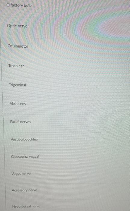 Solved Matching. Using the terms below, correctly identify | Chegg.com