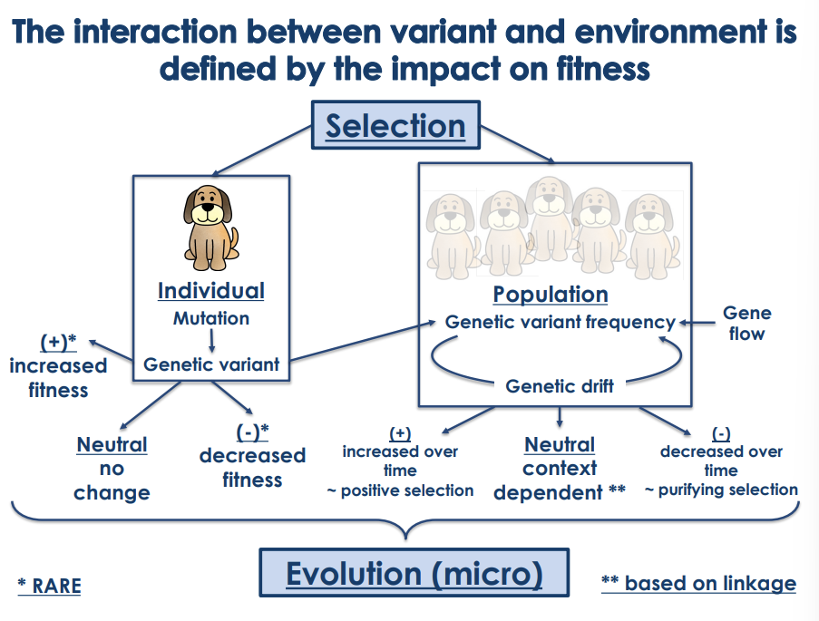 Solved The interaction between variant and environment | Chegg.com