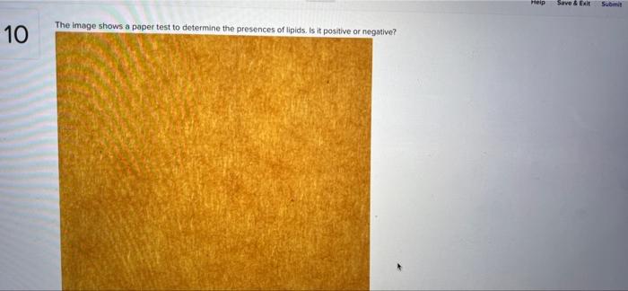 Solved 10 The image shows a paper test to determine the | Chegg.com