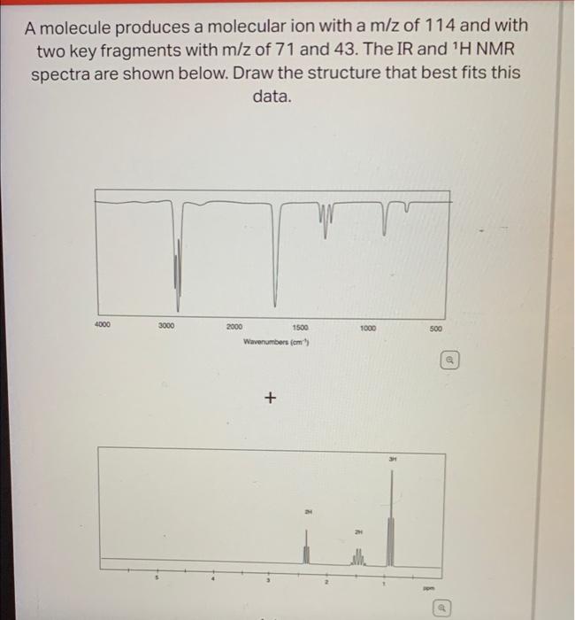 Solved A molecule with the molecular formula of C7H6O | Chegg.com