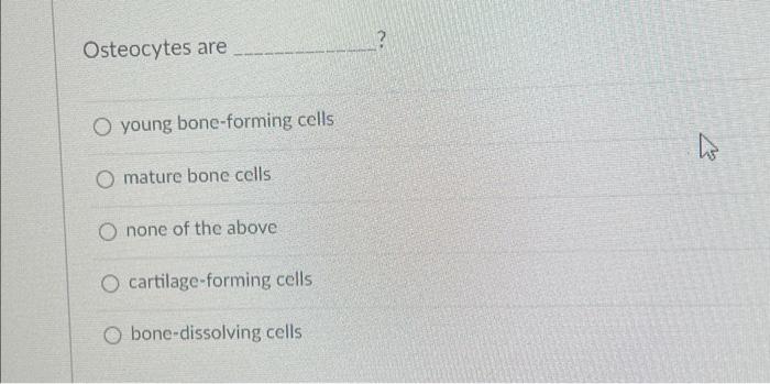 [Solved]: Osteocytes are O young bone-forming cells mature b