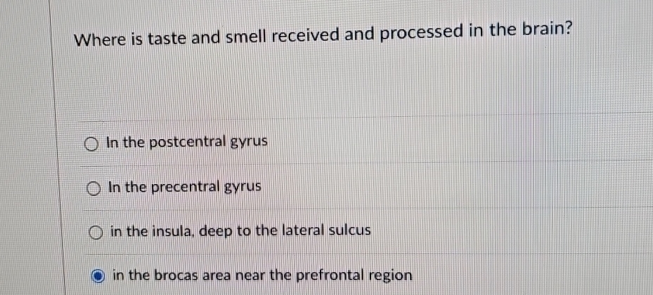 Solved Where is taste and smell received and processed in | Chegg.com