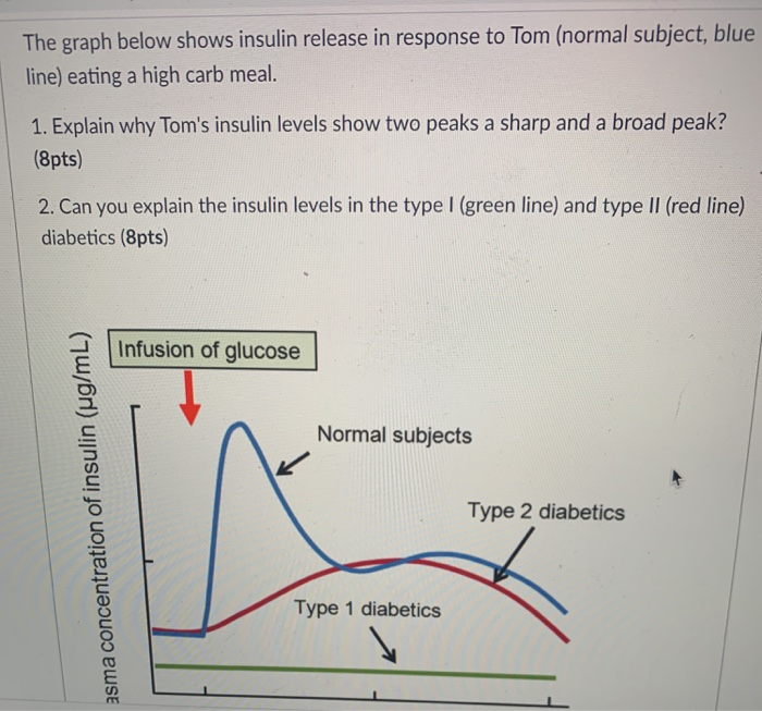 The graph below shows insulin release in response to | Chegg.com