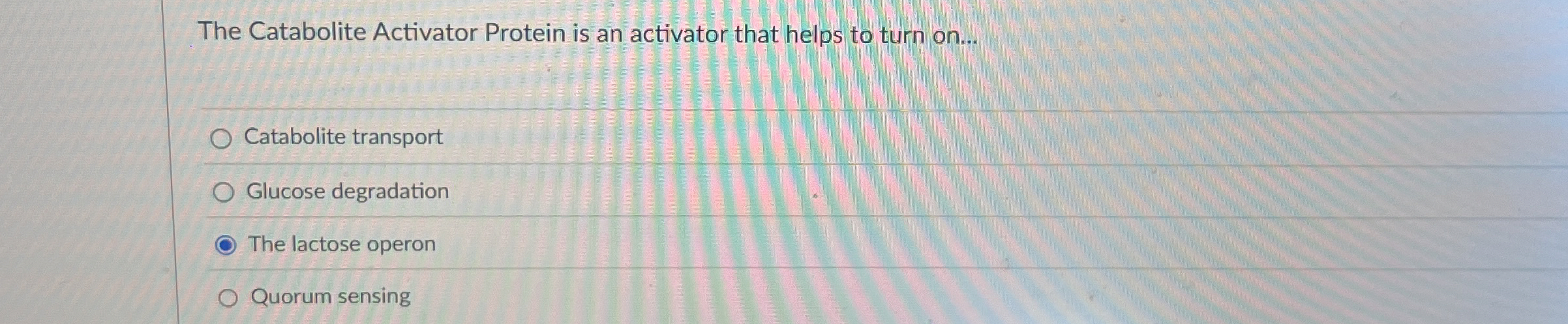 Solved The Catabolite Activator Protein is an activator that | Chegg.com
