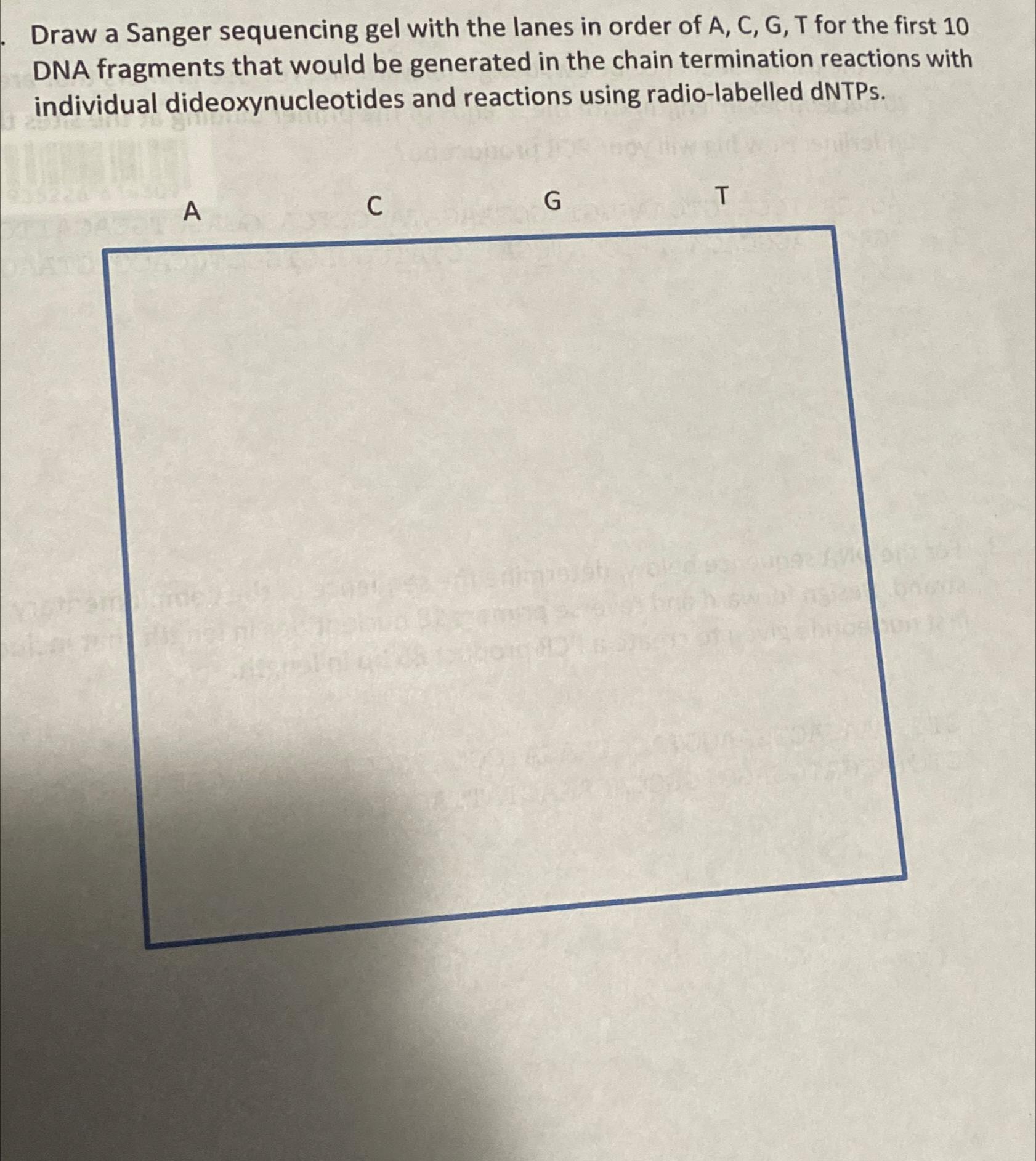 Solved Draw a Sanger sequencing gel with the lanes in order | Chegg.com