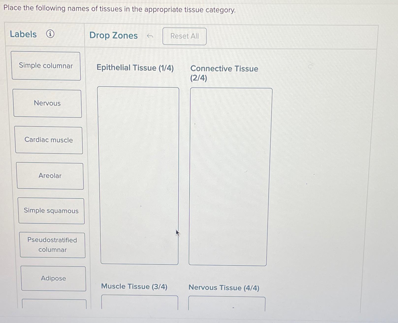 Solved Place the following names of tissues in the | Chegg.com