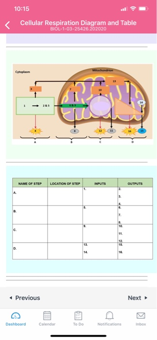 Solved 10:15 Cellular Respiration Diagram and Table | Chegg.com