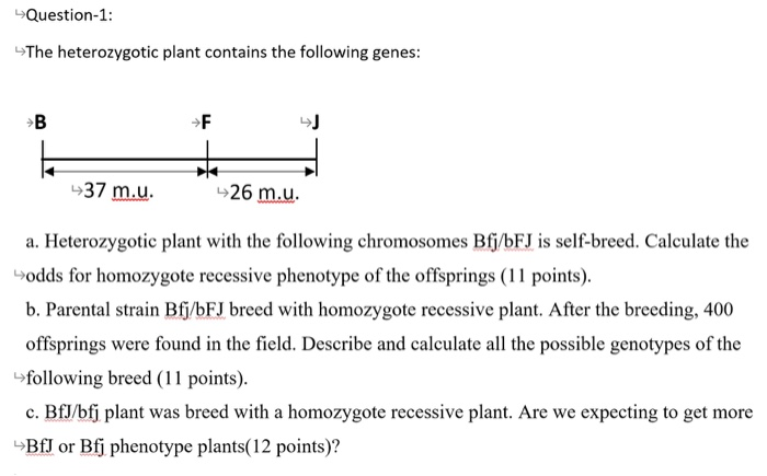 Solved The heterozygotic plant contains the following | Chegg.com