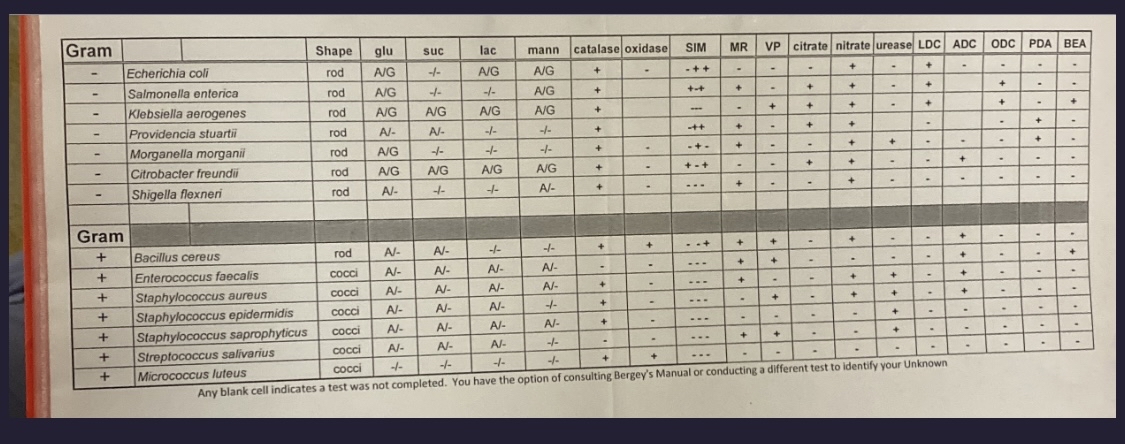 Solved Please make a Dichotomous Key for this table | Chegg.com