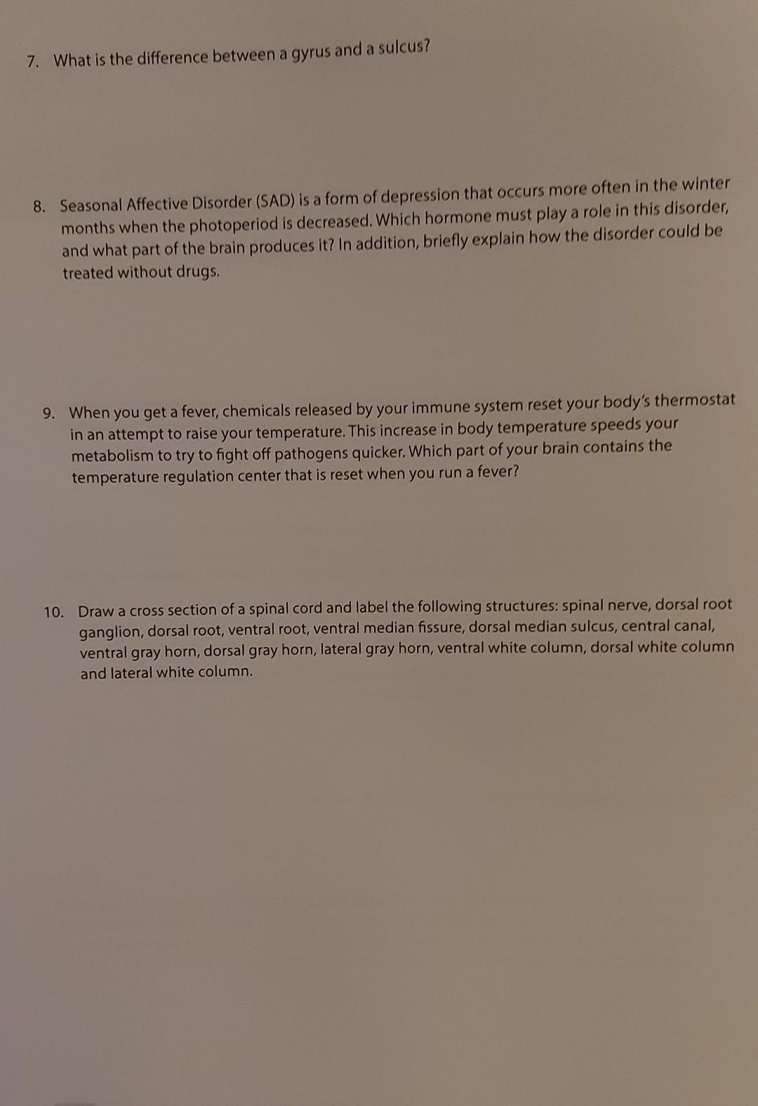 Solved NERVOUS SYSTEM LAB REVIEW QUESTIONS The following | Chegg.com