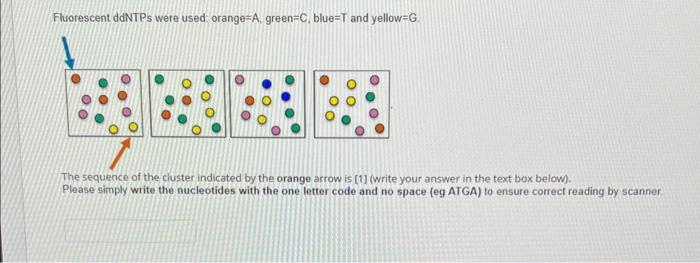 Solved Fluorescent ddNTPs were used: orange =A, green =C, | Chegg.com