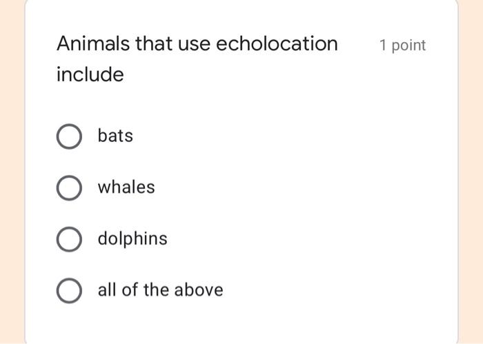 Solved 1 point Animals that use echolocation include bats | Chegg.com