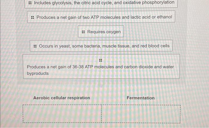 Solved Identify each characteristic as relating to aerobic | Chegg.com