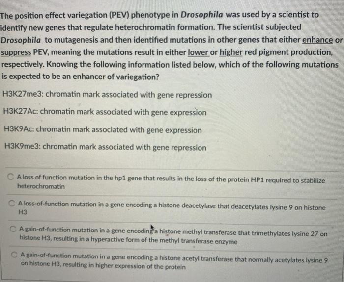 Solved The position effect variegation (PEV) phenotype in | Chegg.com