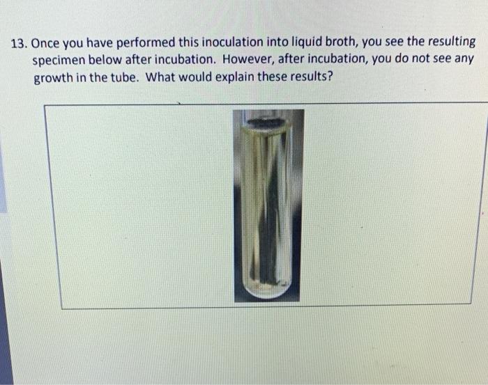 Solved 13. Once you have performed this inoculation into | Chegg.com