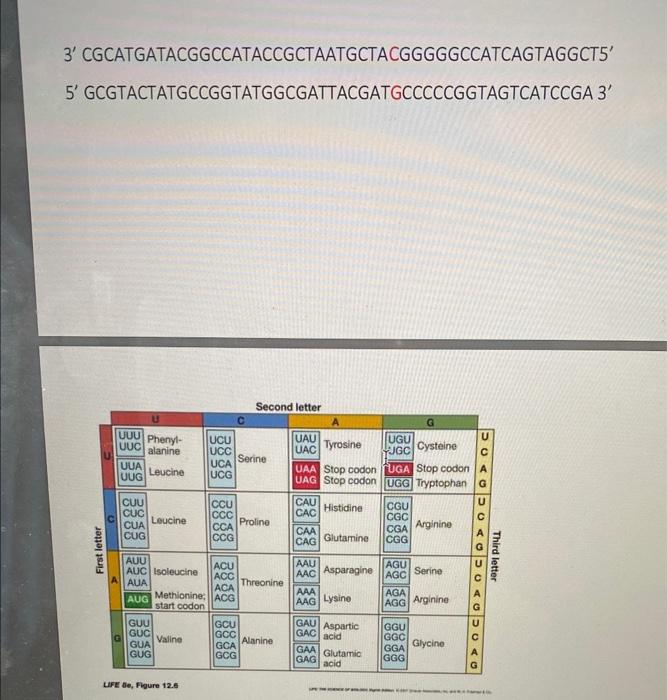 2. If there were a mutation which changed the C/G | Chegg.com