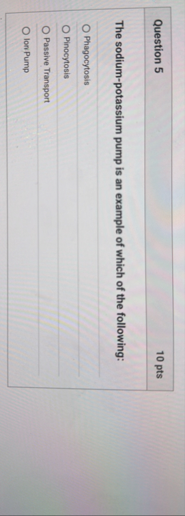 Solved Question 510 ﻿ptsThe sodium-potassium pump is an | Chegg.com