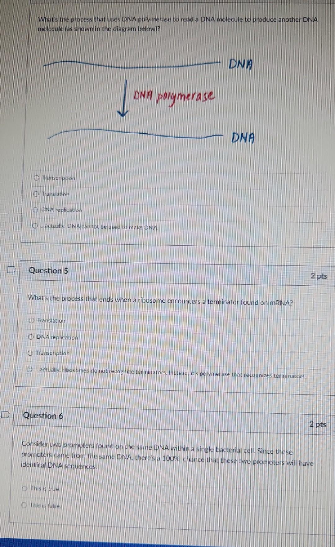 Solved What's the process that uses DNA polymerase to read a | Chegg.com