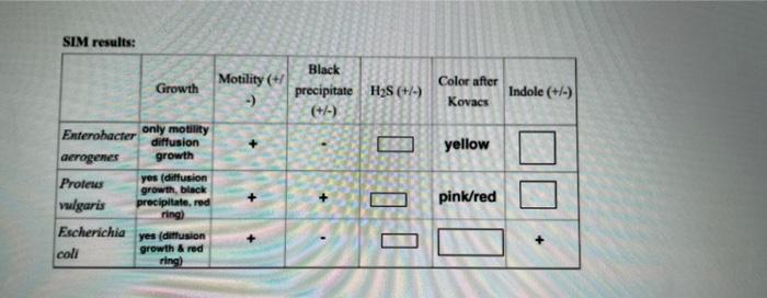 Solved SIM results: Enterobacter aerogres Proteus vulgaris | Chegg.com