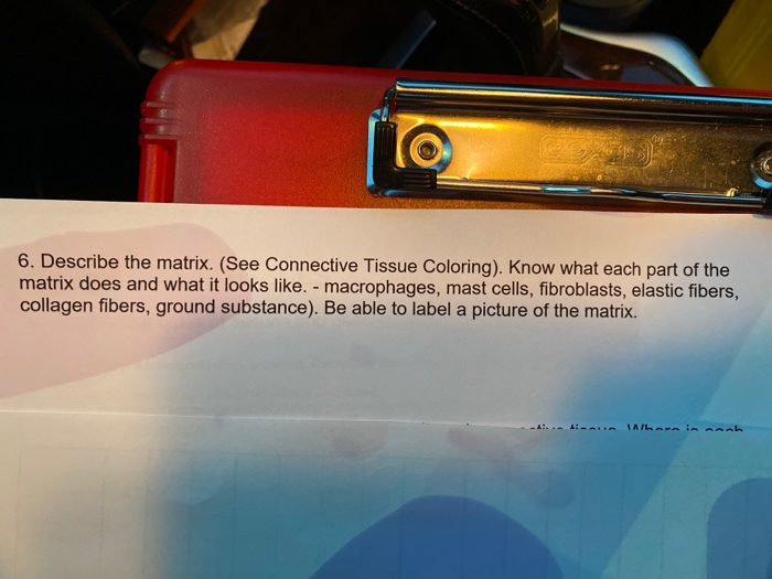 Solved 6. Describe the matrix. (See Connective Tissue | Chegg.com