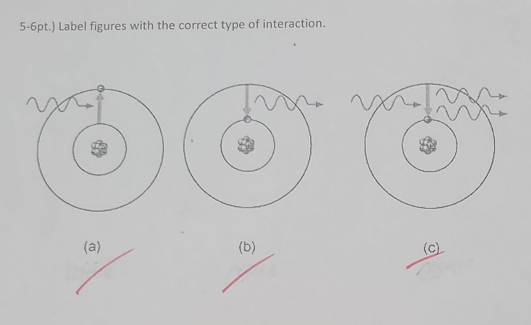Solved 5-6pt.) Label figures with the correct type of | Chegg.com