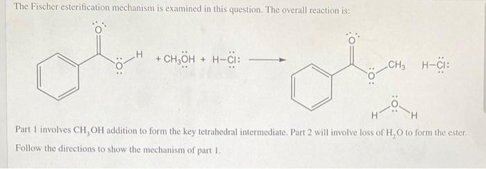 Solved The Fischer esterification mechanism is examined in | Chegg.com