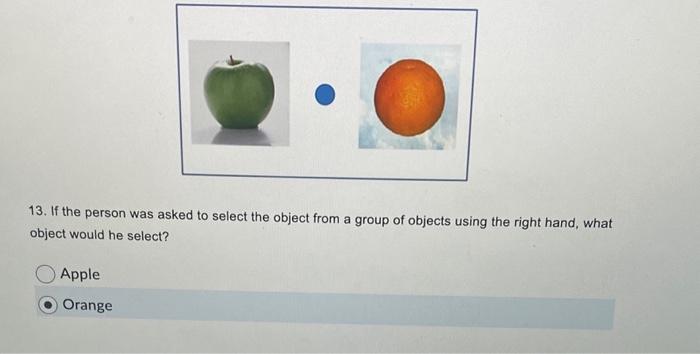 Solved 11. If the person was asked to select the object from | Chegg.com